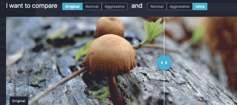 How To Convert To Webp Images In Wordpress And Why Greengeeks