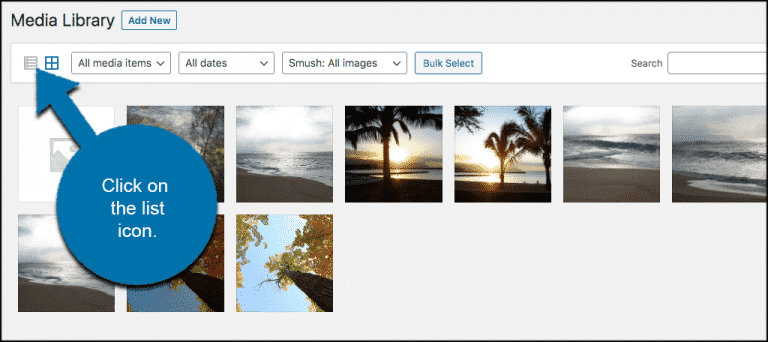 How to Rename Images in WordPress After Uploading Them - GreenGeeks
