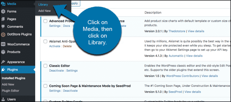 How to Rename Images in WordPress After Uploading Them - GreenGeeks