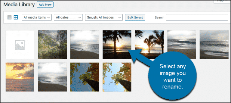 How to Rename Images in WordPress After Uploading Them - GreenGeeks