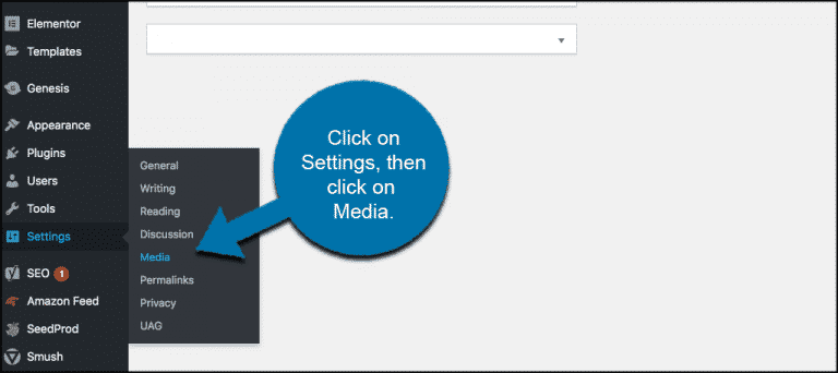 How to Enable New Image Size Options in WordPress - GreenGeeks