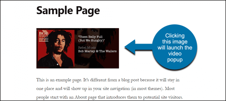 How to Add a Video Popup in WordPress from YouTube or Vimeo - GreenGeeks