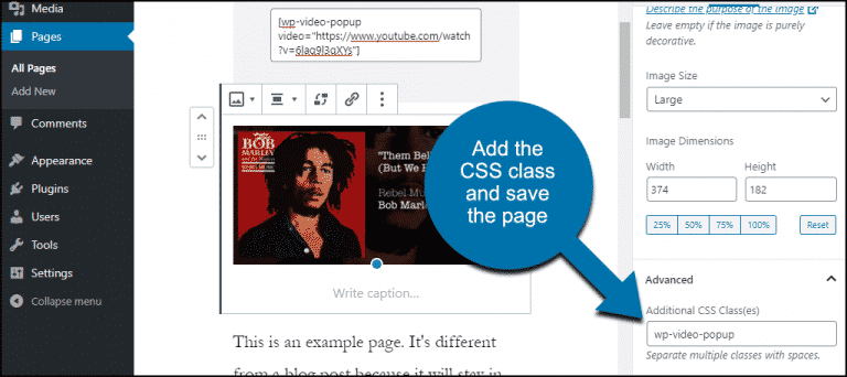 How to Add a Video Popup in WordPress from YouTube or Vimeo - GreenGeeks