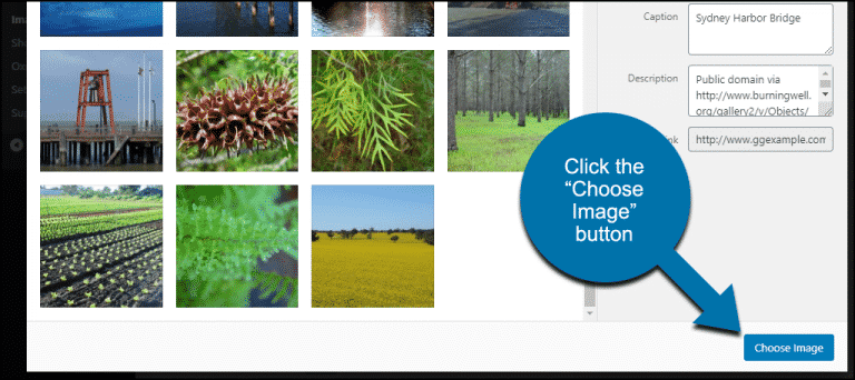 How to Easily Add Magnify Image Effects in WordPress - GreenGeeks