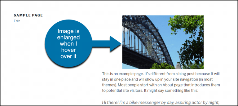 How to Easily Add Magnify Image Effects in WordPress - GreenGeeks