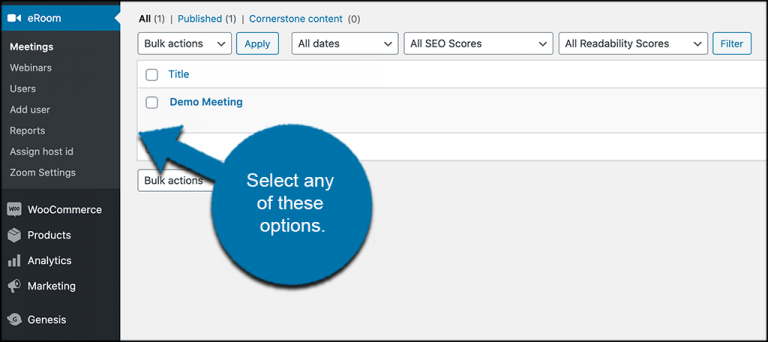 How to Set Up eRoom for Your WordPress Zoom Webinar - GreenGeeks