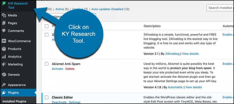 How to Use the Keyword Research Tool Plugin in WordPress - GreenGeeks
