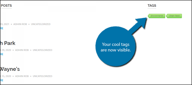 How to Fancy Tags in WordPress with Cool Tag Cloud - GreenGeeks