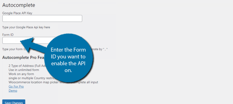 How to Include Autocomplete for Address Fields in WordPress