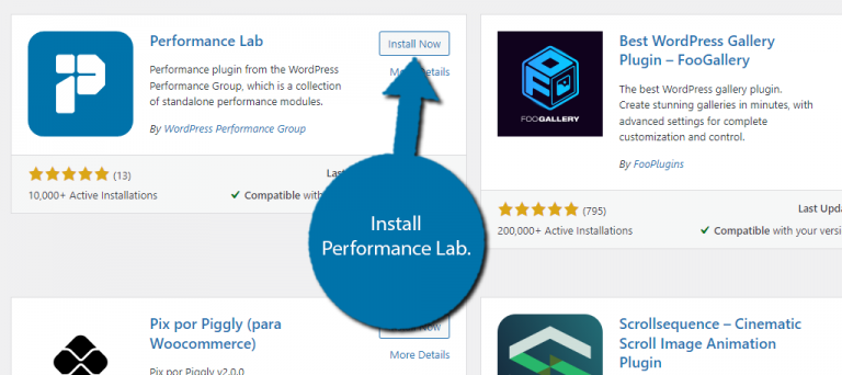 How To Use Performance Lab In Wordpress And Why