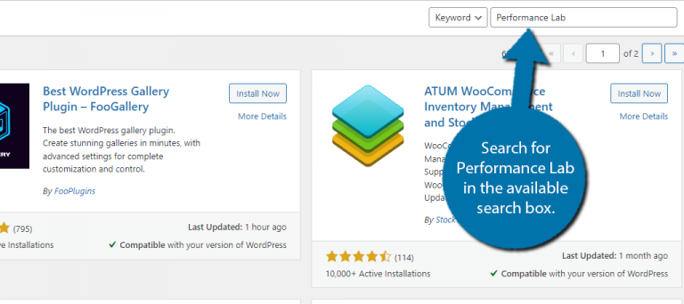 How To Use Performance Lab In Wordpress And Why
