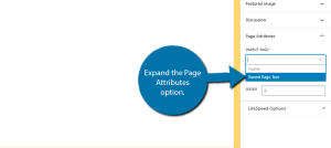 Parent Page WordPress: What is it & How to Use it Correctly