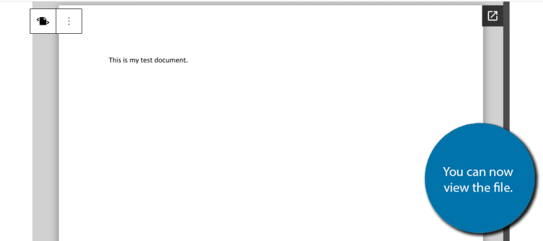 How to Embed Word & Other Office Documents Into WordPress