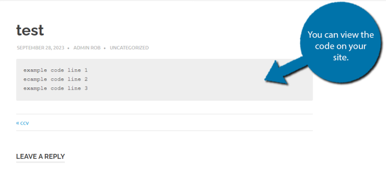 How to Properly Display Code In WordPress In a Block - GreenGeeks