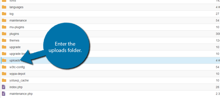 Locating Images in WordPress and How to Organize Them