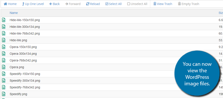 Locating Images in WordPress and How to Organize Them