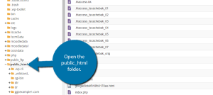 Locating Images in WordPress and How to Organize Them